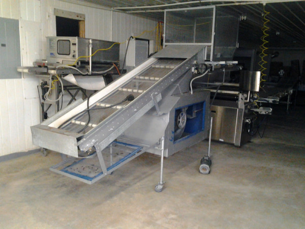 Blueberry Packing line - Used Blueberry Equipment