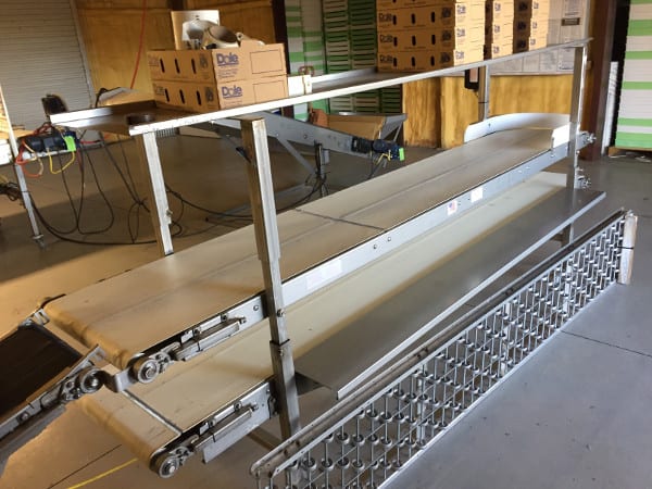 pack-off-conveyor-600x400 - Used Blueberry Equipment