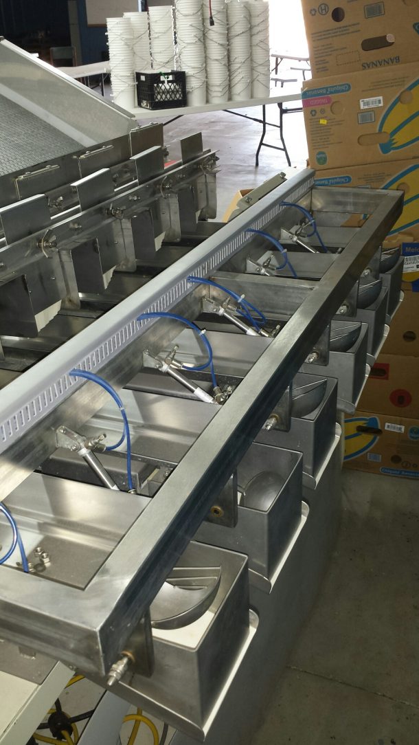 packing line - Used Blueberry Equipment