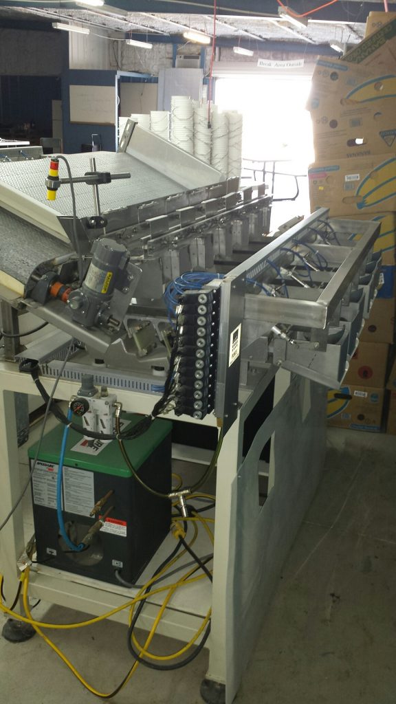 packing line - Used Blueberry Equipment