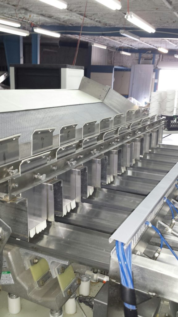 packing line - Used Blueberry Equipment