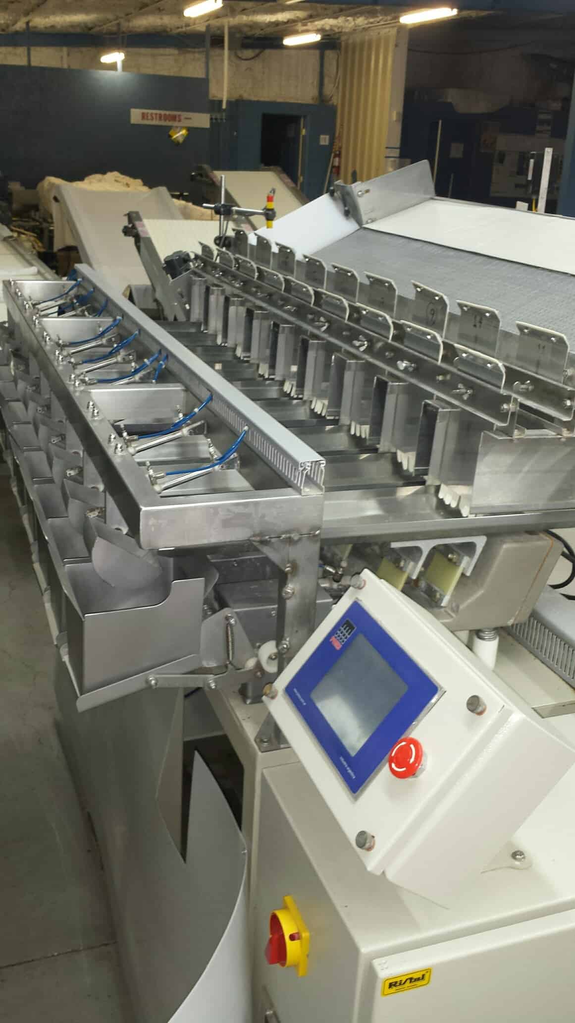 packing line - Used Blueberry Equipment