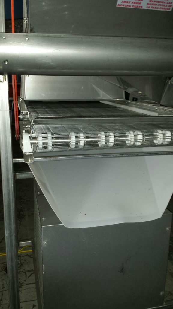 packing line - Used Blueberry Equipment