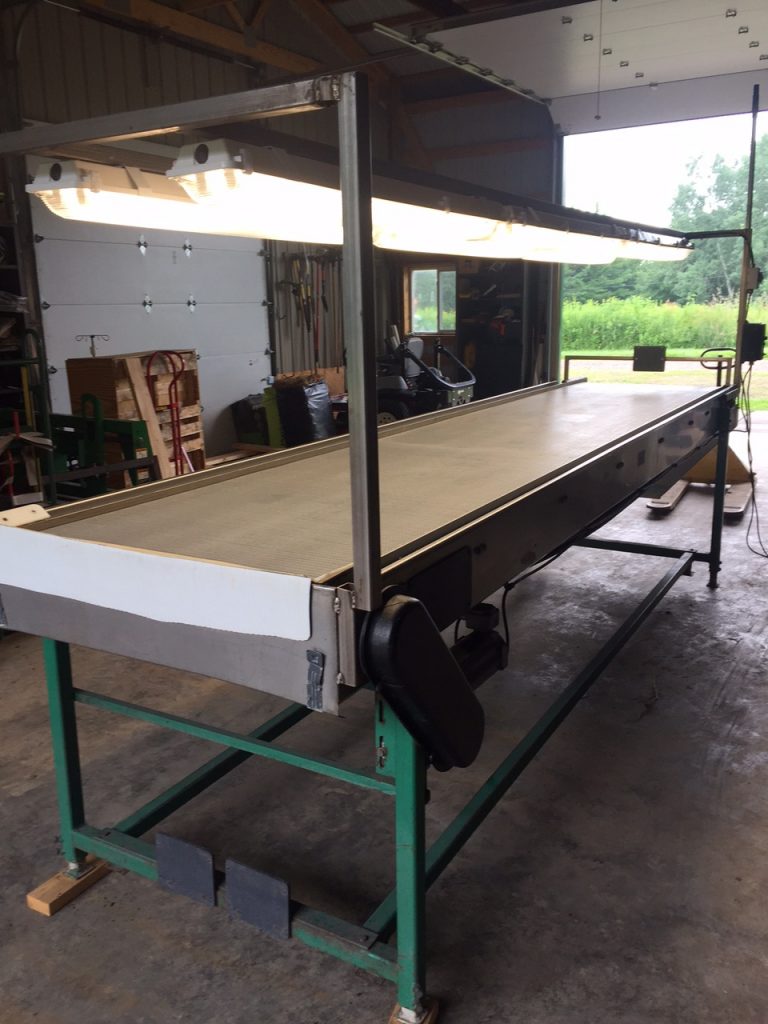 Lakewood Sorting Table - Used Blueberry Equipment
